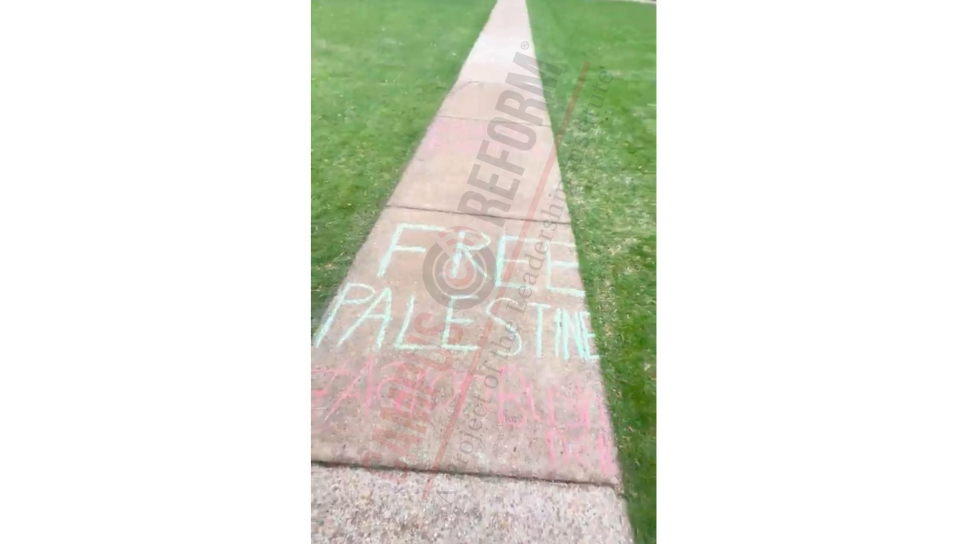 Campus Reform the #1 Source for College News