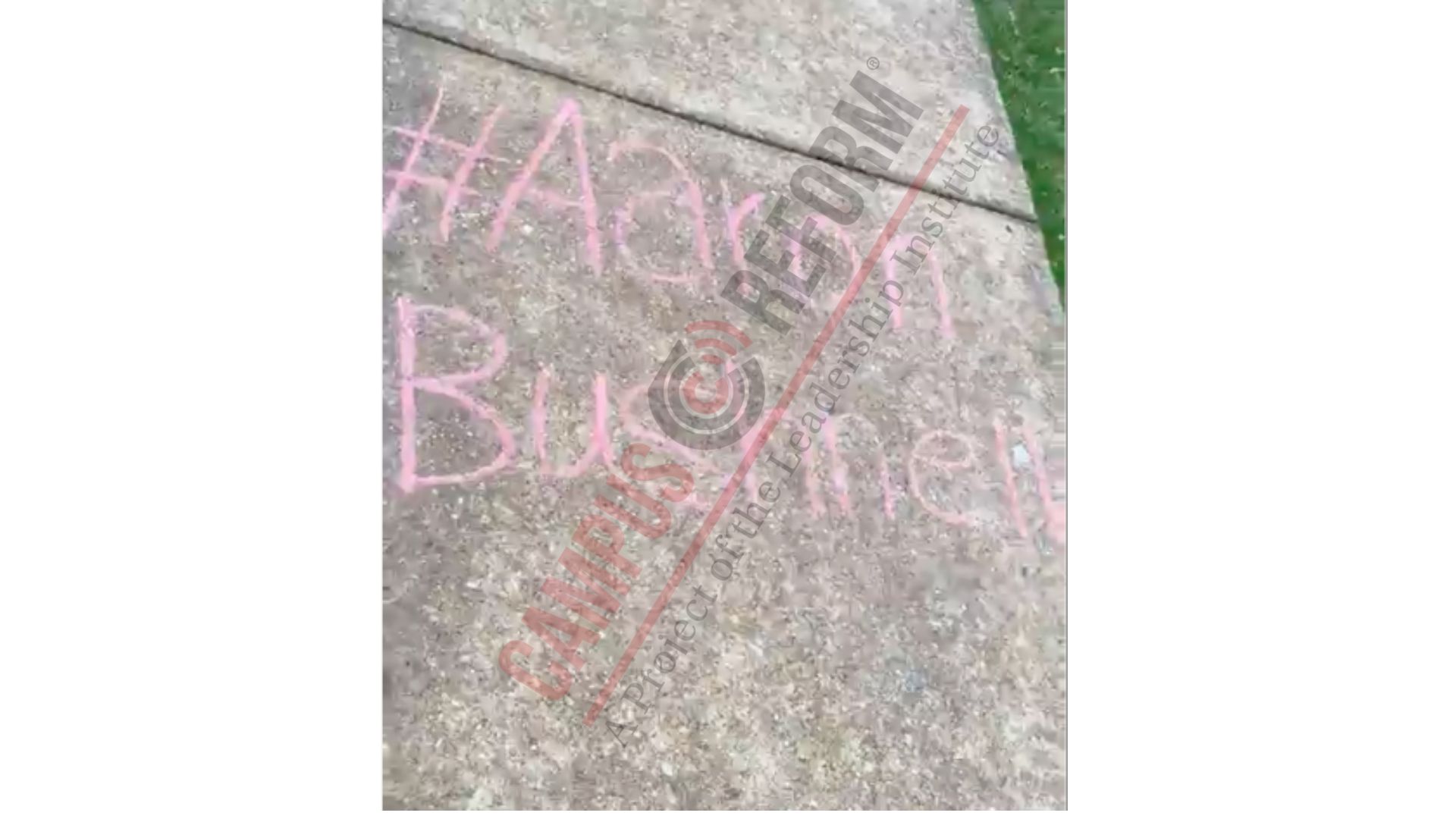 Campus Reform the #1 Source for College News