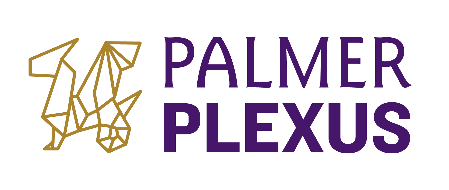 Palmer Plexus