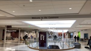 2023 Dorm Tours - Texas A&M | CampusReel