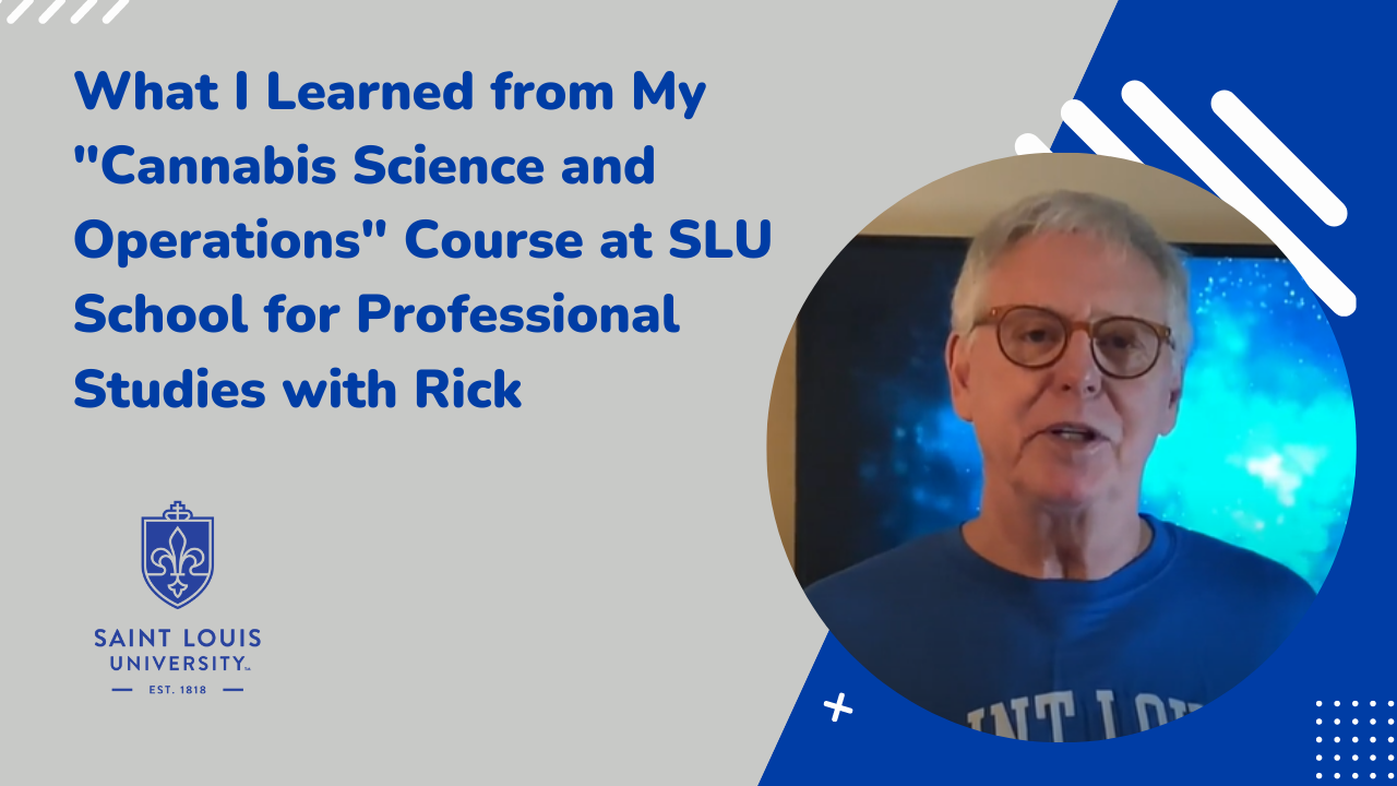 University of Detroit Mercy MBA: 2024 Acceptance Rate, GMAT & GPA ...