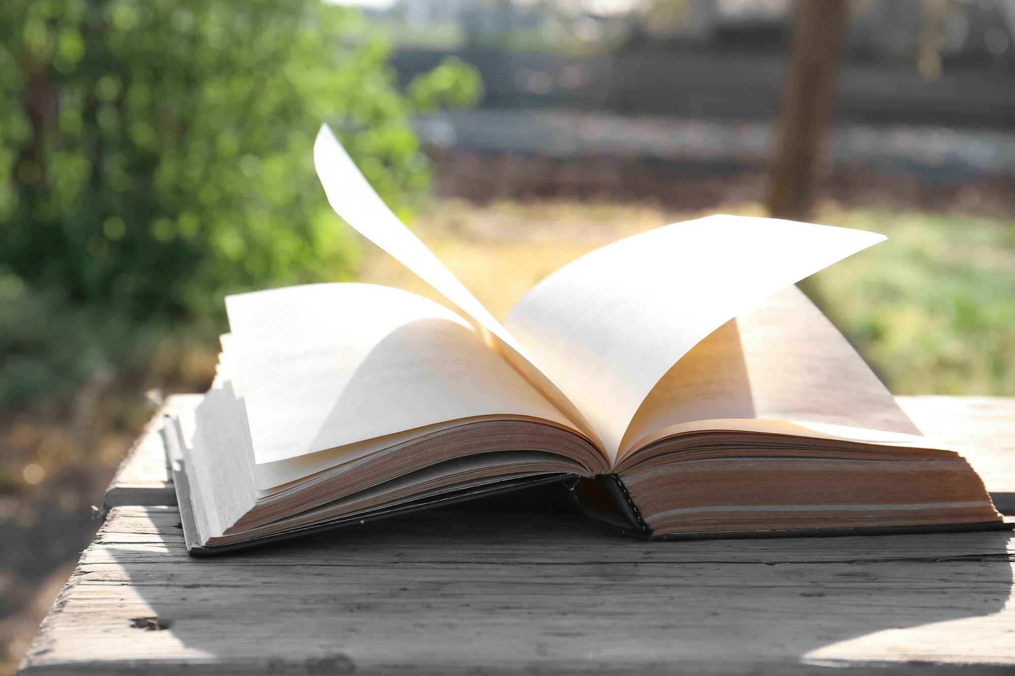 The Bible on the background of the cross and life-giving light – Canal ...