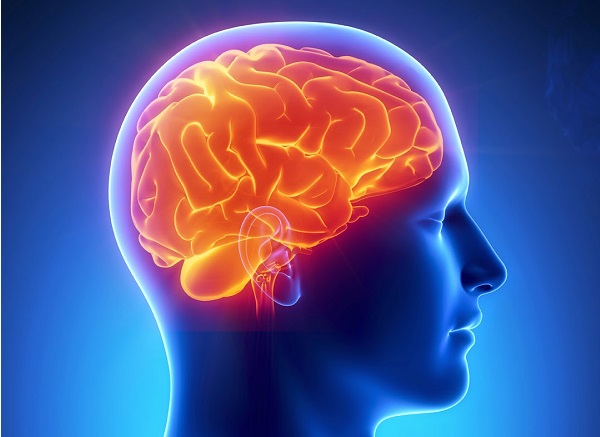 Get educated about Inflammation & The Immune system - Breakthrough ...