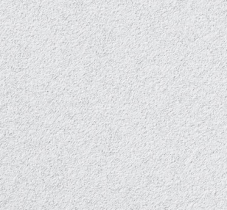 1 in x 2 ft x 4 ft USG Mars High-NRC Square Edge Panel - 89137 at ...