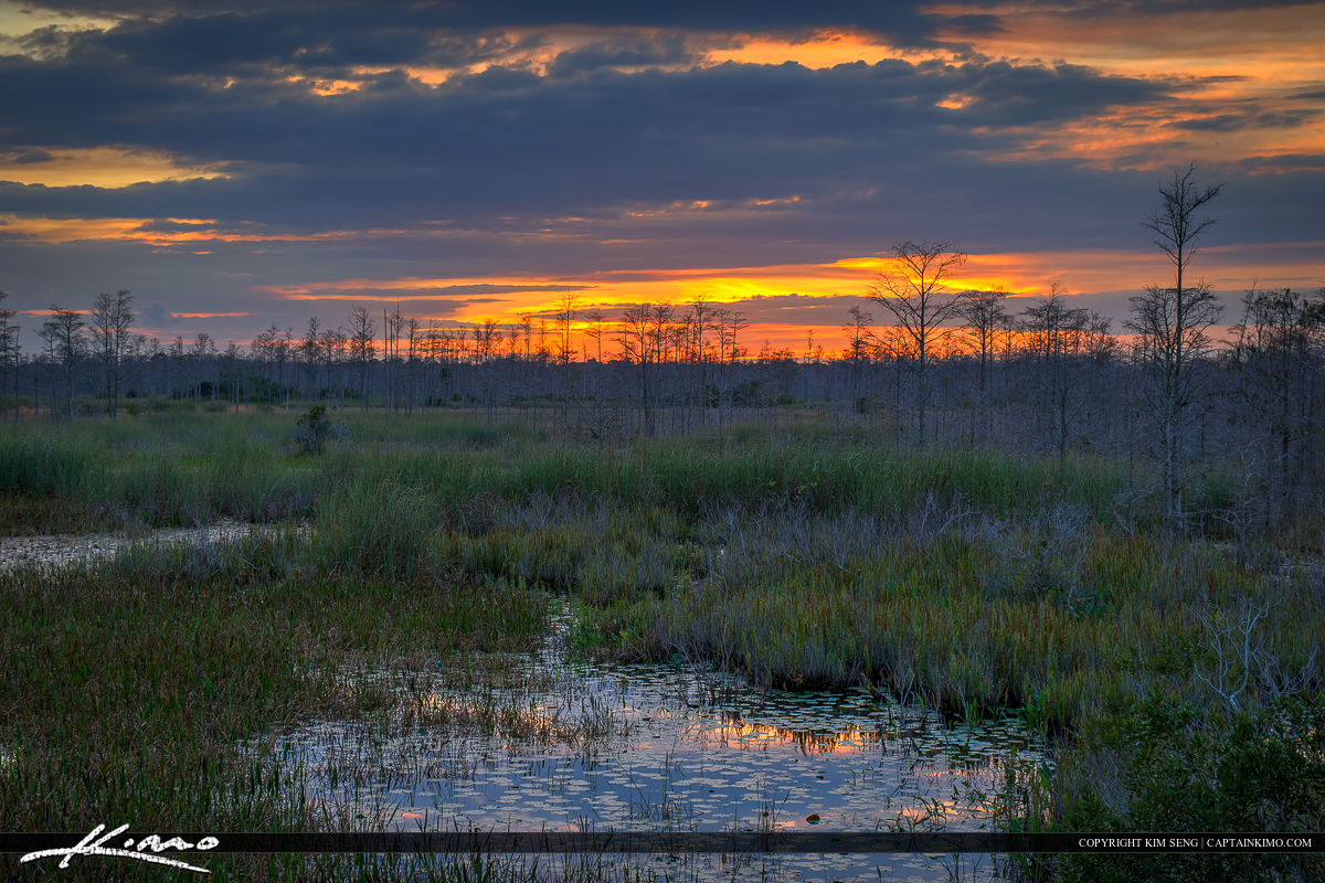Florida Sunset Over Wetlands Marsh at the Slough – HDR Photography by ...