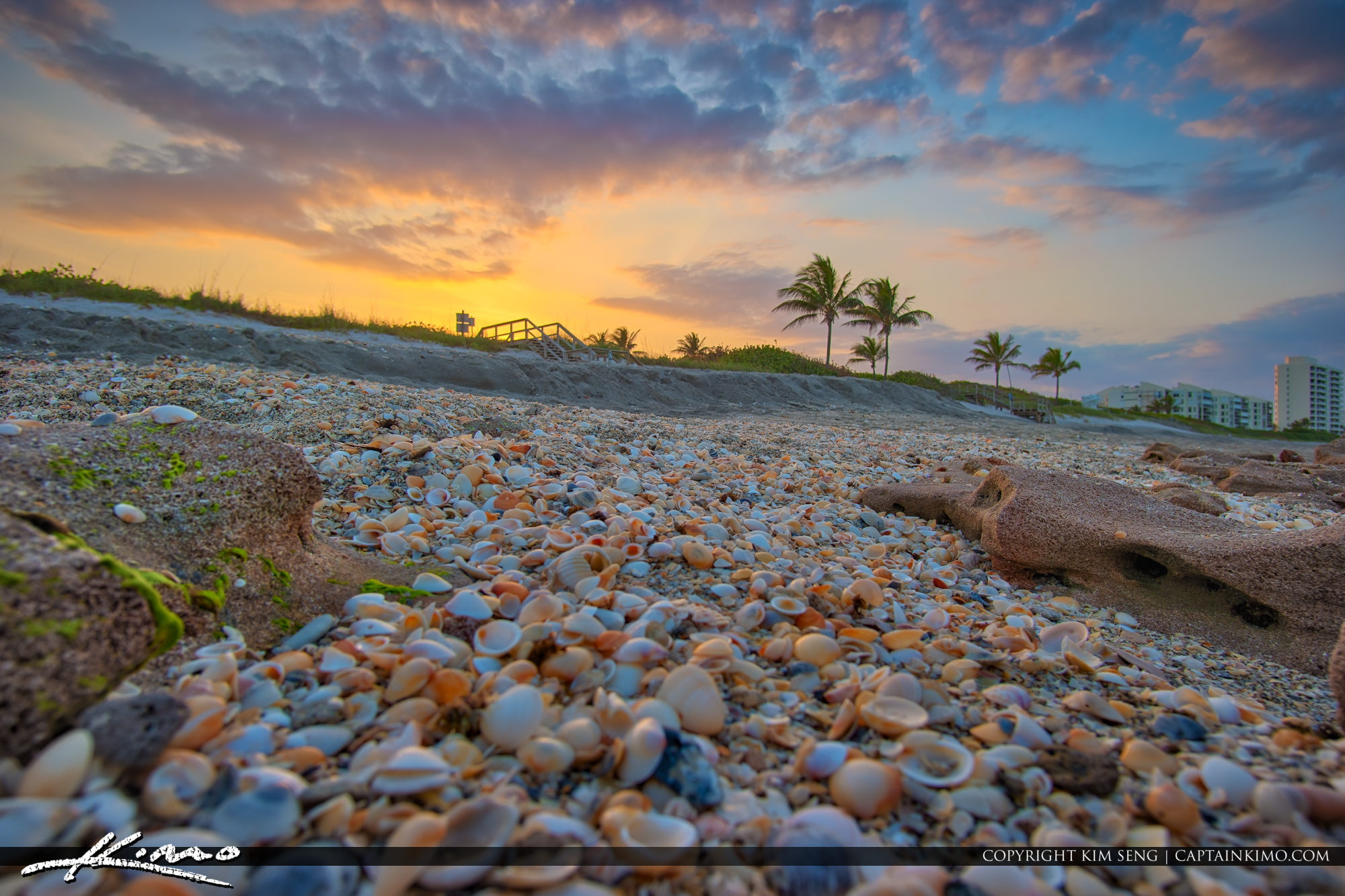 Millions of Shells on the Beach at Coral Cove Park – HDR Photography by ...