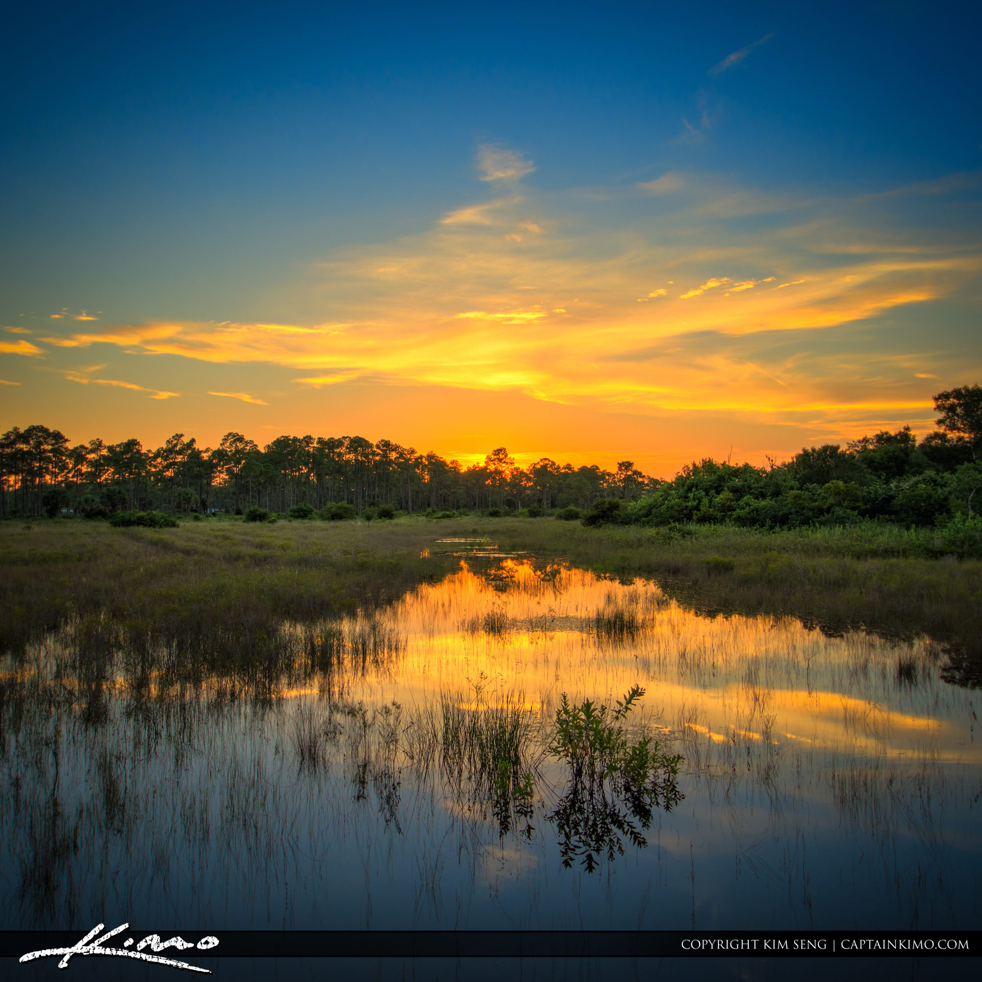 Sunset Over Loxahatchee Florida at Acreage Pines Natural Area | HDR ...