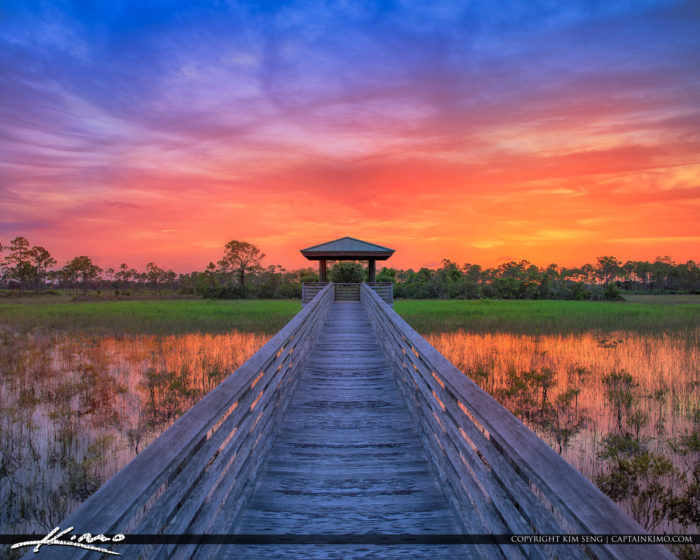 Sunset from Sweetbay Natural Area in Palm Beach Gardens