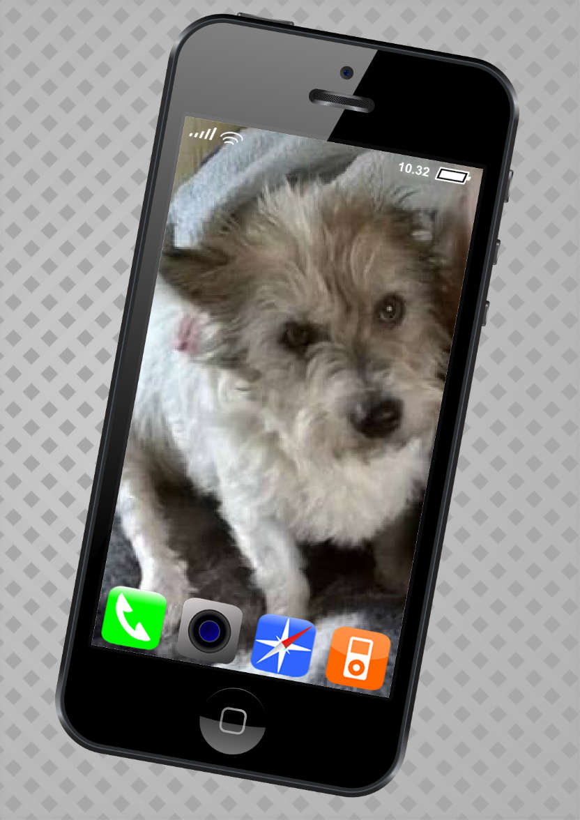 Iphone Style Card in Card Creator Gallery