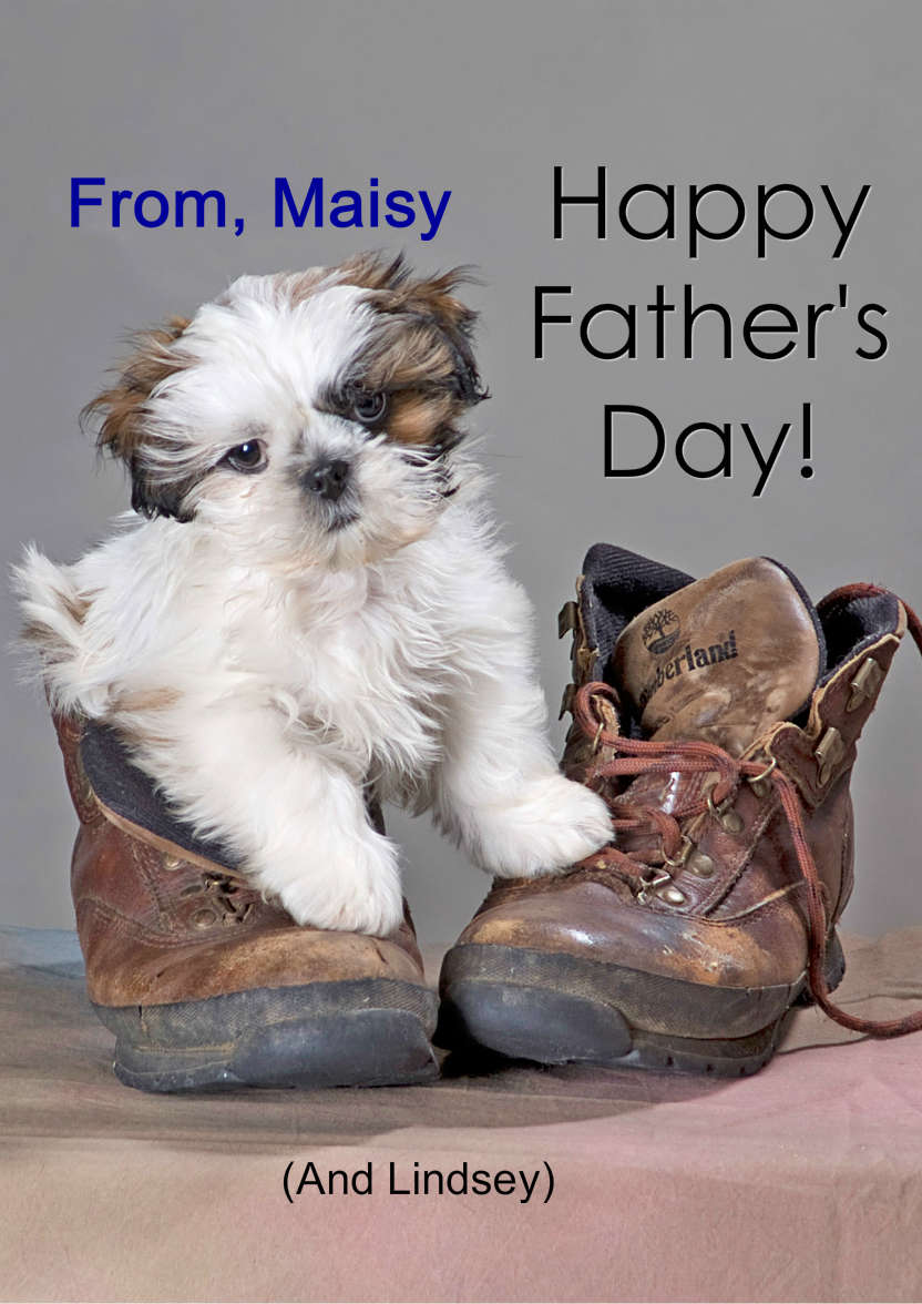 Cute Puppy in Boot in Card Creator Gallery