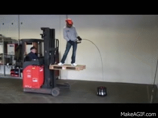 12 Carp Fishing GIF's You Will Want To Share With Your Friends - The ...