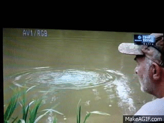 12 Carp Fishing GIF's You Will Want To Share With Your Friends - The ...