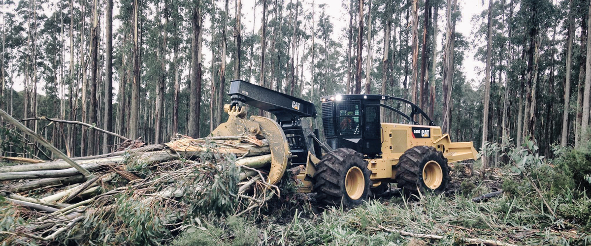 Cat All Day TECHNOLOGY COMES TO THE FOREST – REMOTE-OPERATED LOGGING ...