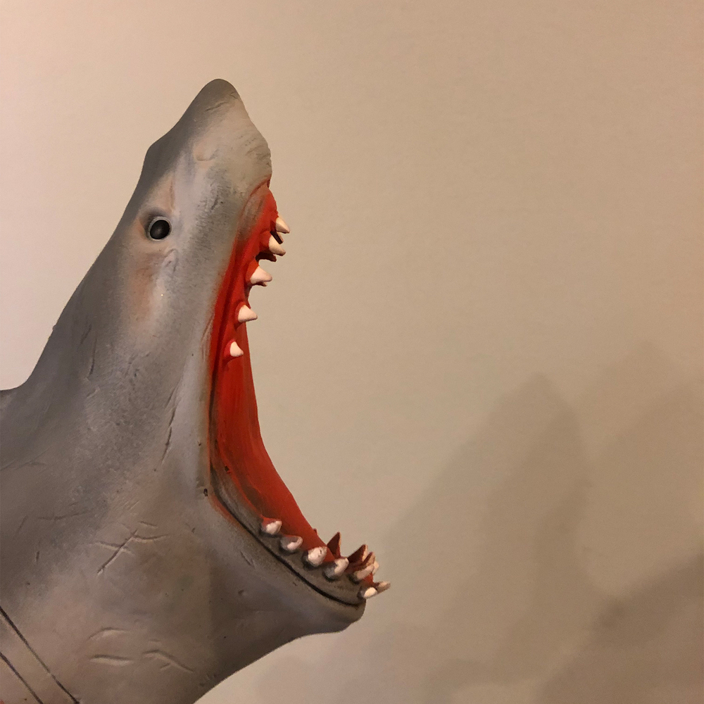 Scream by Shark Puppet - Catapult Distribution