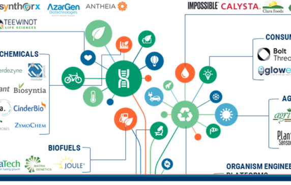 60+ Synthetic Biology Startups Reimagining Food, Fuel, Healthcare, And More