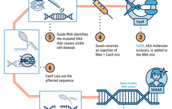 What Is CRISPR?