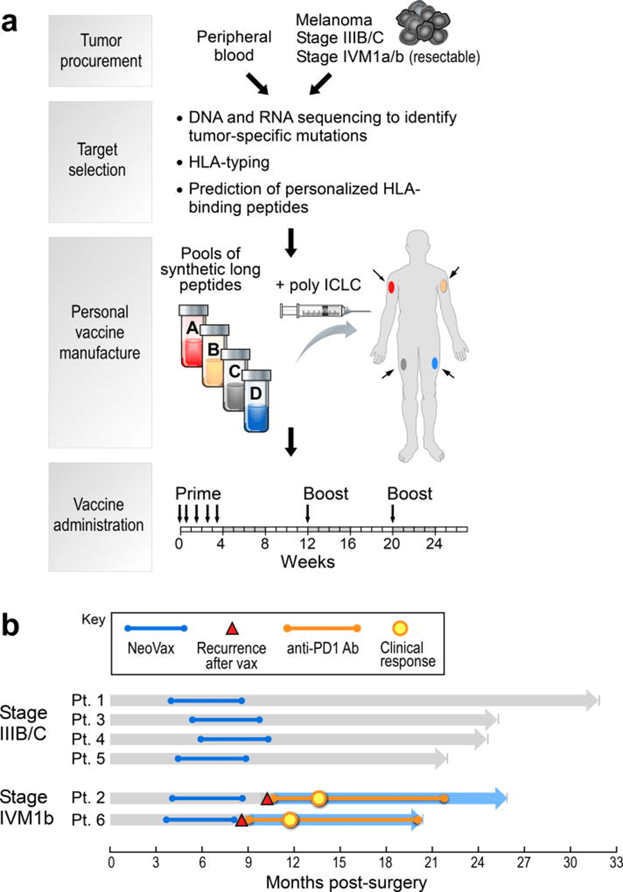 Neoantigen Cancer Vaccines & Companies Bringing it to the Market: Next Big Immunotherapy ...