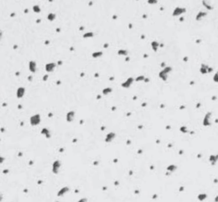 Usg Ceilings Radar Illusion 2 Ft X 4 Ft Acoustical