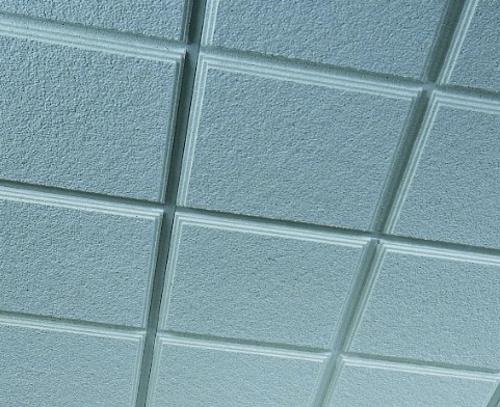 Usg Eclipse Climaplus Acoustic Ceiling Panels Shelly