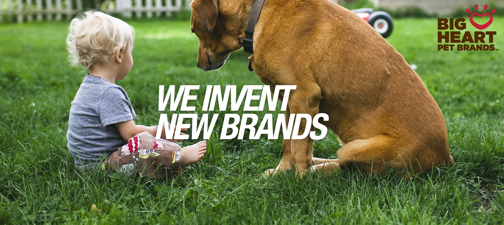 CBX New York City Branding Agency