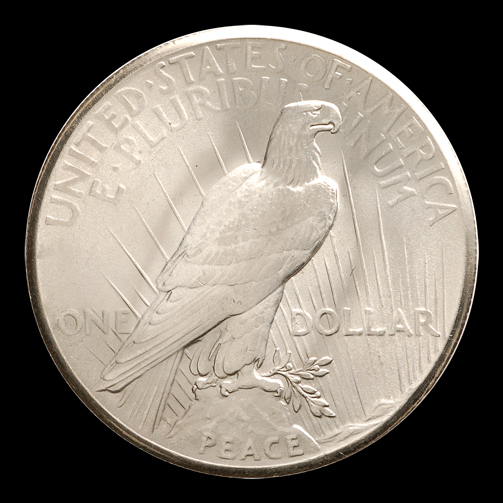 NCS Conservation Showcase: 1928 Peace Dollar | NGC