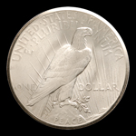 NCS Conservation Showcase: 1928 Peace Dollar | NGC