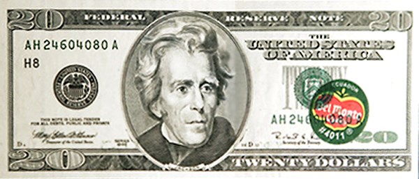 Error Notes: Oops the BEP Did it Again | PMG