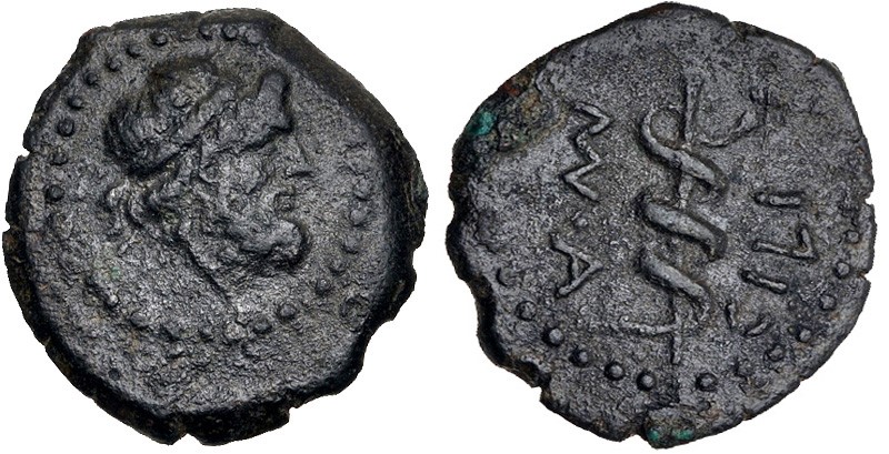 NGC Ancients: Snakes on Coins | NGC