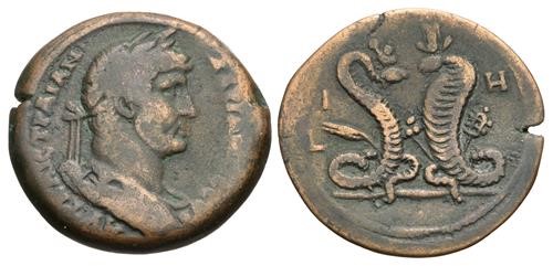 NGC Ancients: Snakes on Coins | NGC