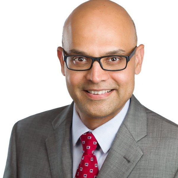 Mahesh Raja | Senior Vice President, Sector & Business Unit Head ...