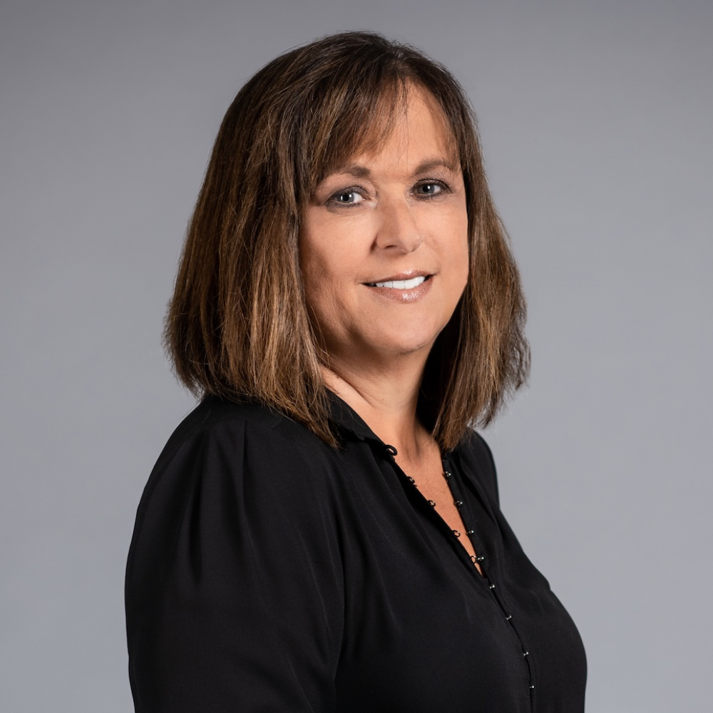 Ann Barnes | Chief Executive Officer - Intelligent Medical Objects ...