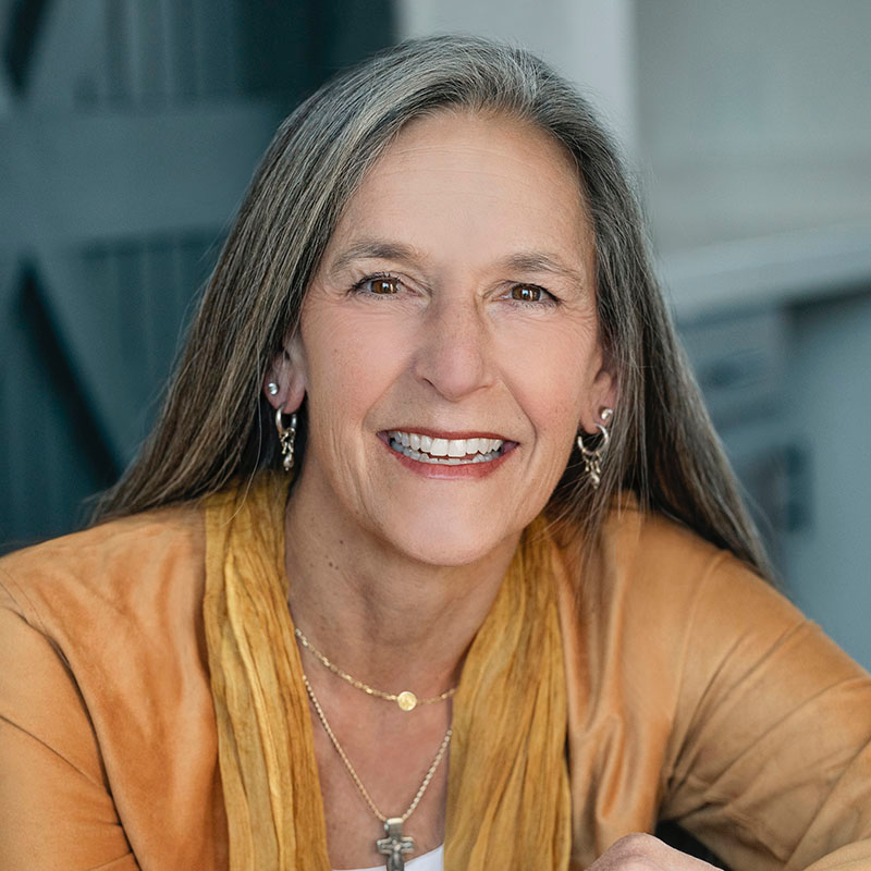 Elizabeth Ledoux | CEO and Founder/Owner - The Transition Strategists ...