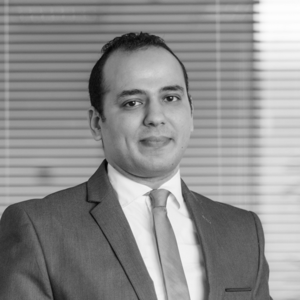 Mohamed Hashish | Managing Partner - Soliman, Hashish & Partners ...