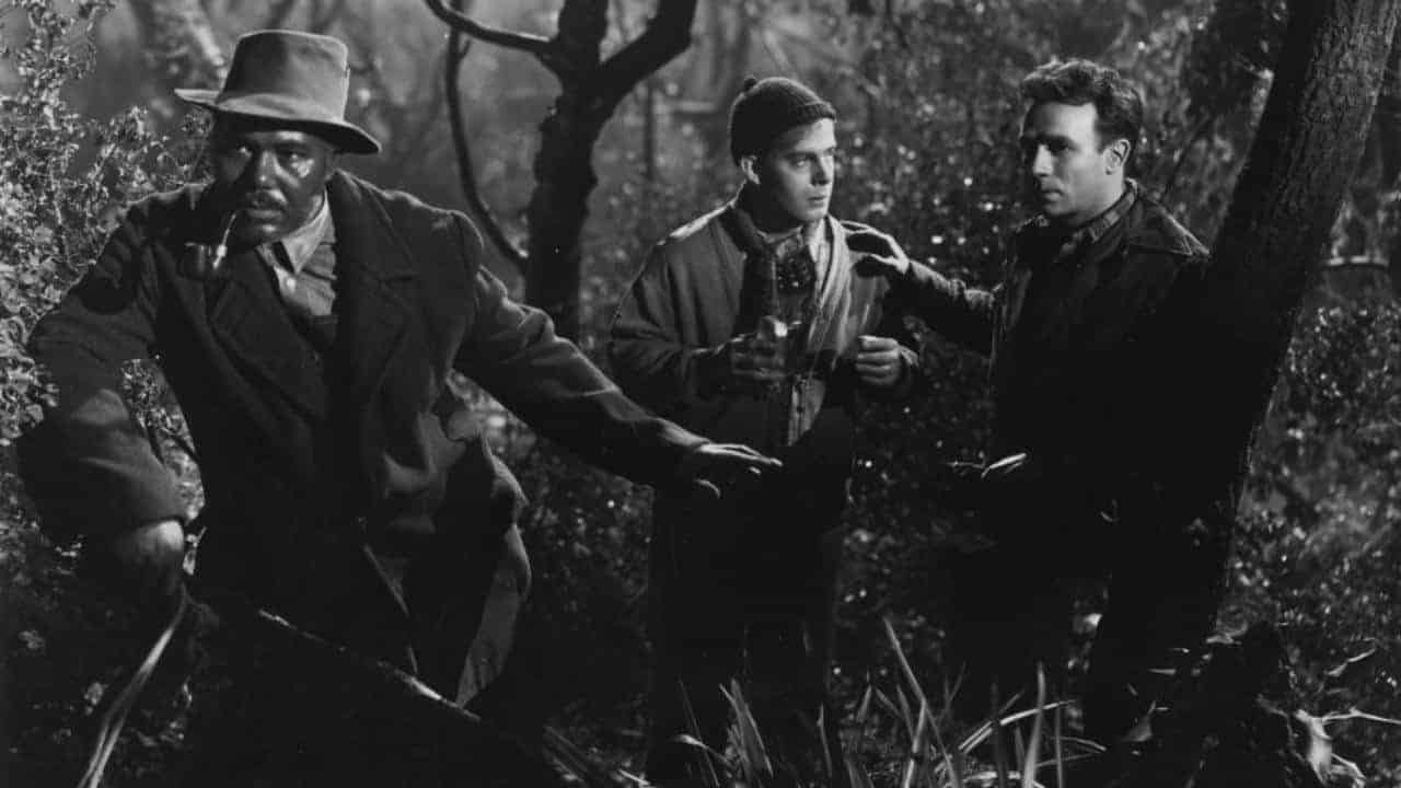 MOONRISE Criterion Blu-ray Review | Film Pulse