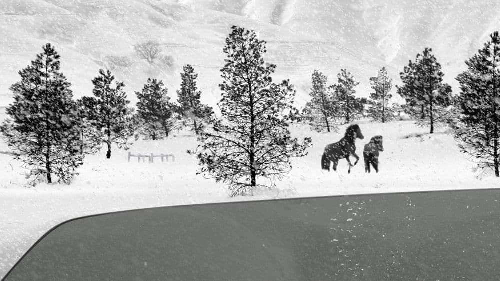 24 FRAMES Criterion Blu-ray Review | Film Pulse