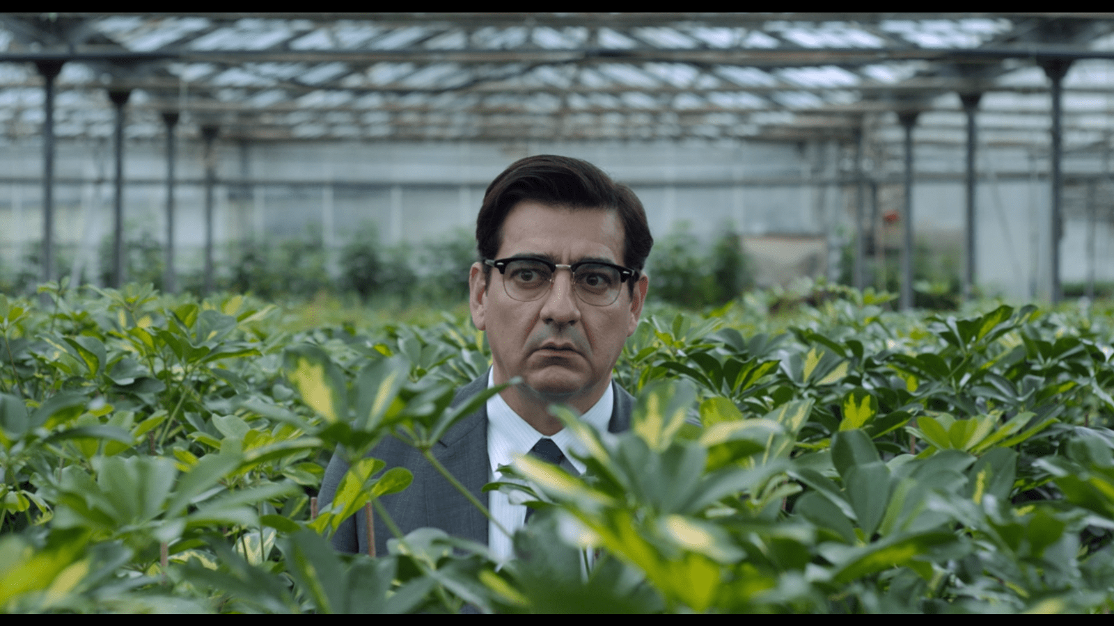 PITY Review | Film Pulse