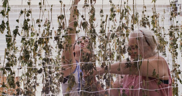 FREELAND Review | Film Pulse