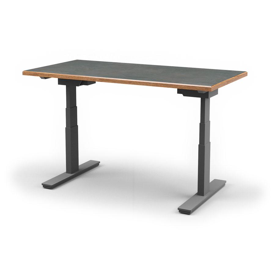 Wildwood Electric Adjustable Table / Workstation, 48"x24"