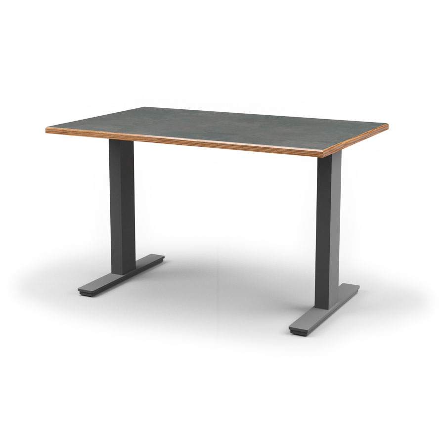 Wildwood Electric Adjustable Table / Workstation, 48"x30"