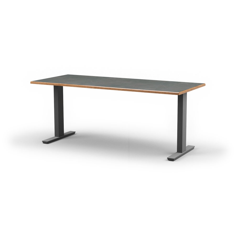 Wildwood Electric Adjustable Table / Workstation, 72"x30"