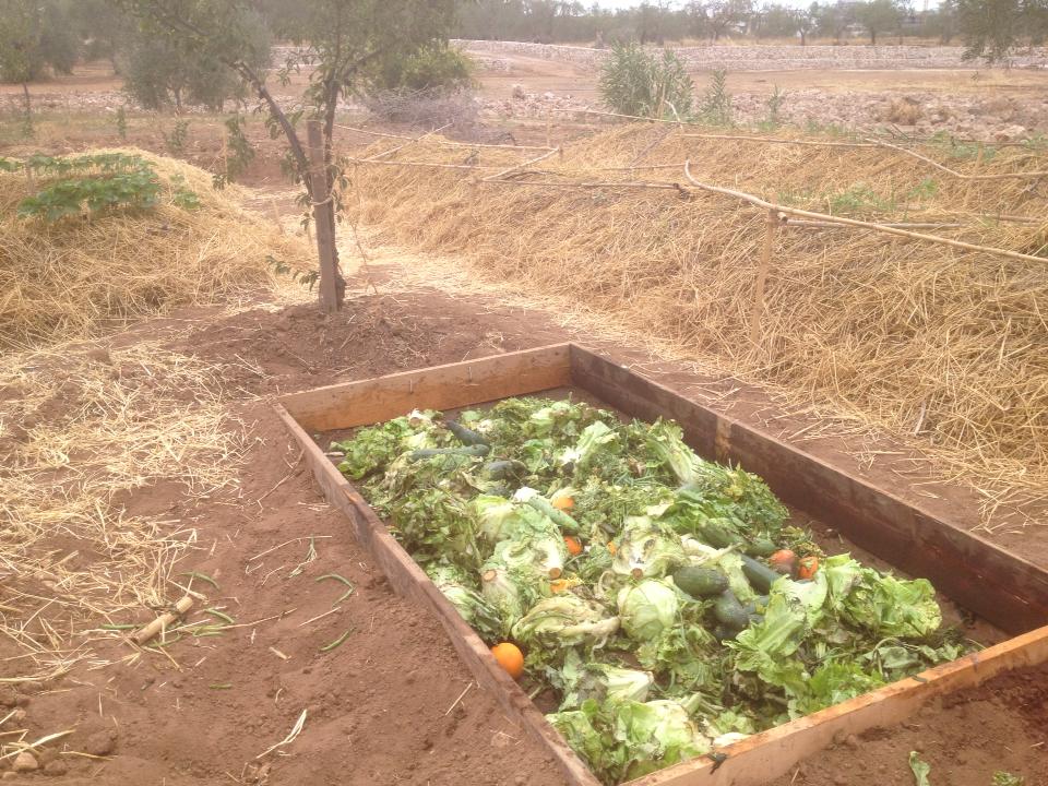 Rifiuti organici: Tari ridotta e semplificazioni per chi pratica il ...