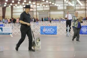 What to Wear to a Dog Show and Other Dog Sports