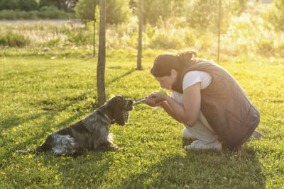 10 Ways You're Annoying Your Dog – American Kennel Club