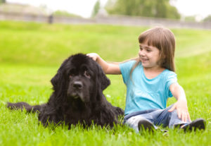 Dog Training for Kids: Teach Your Kids to Train the Dog