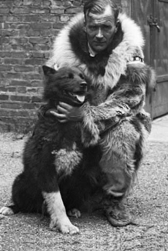 The Real Story of Amblin's Balto – American Kennel Club
