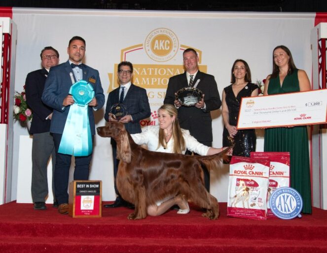 AKC National Owner-Handled Series Finals – American Kennel Club