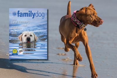 Family Dog – American Kennel Club