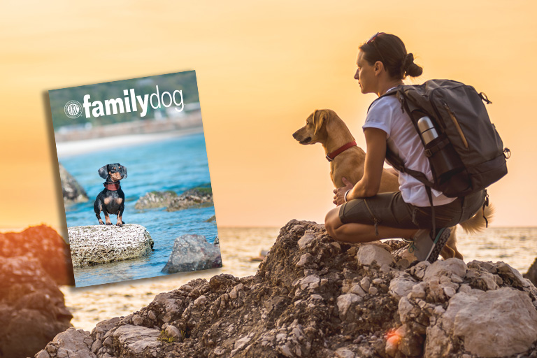 Family Dog – American Kennel Club