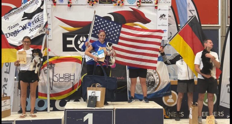 AKC European Open Agility Team – American Kennel Club