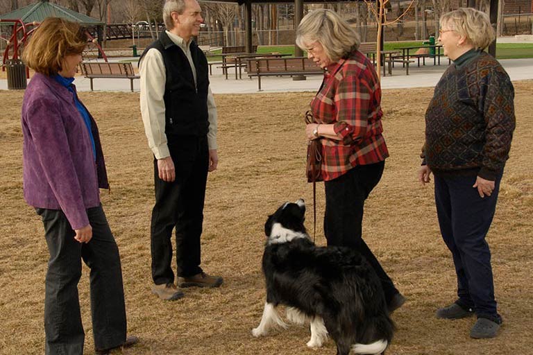 Canine Good Citizen (CGC) – American Kennel Club